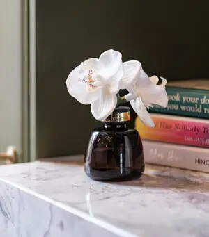 SENTI The Little Orchid Amber And Oud Diffuser