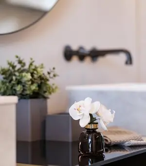 SENTI The Little Orchid Fig Diffuser