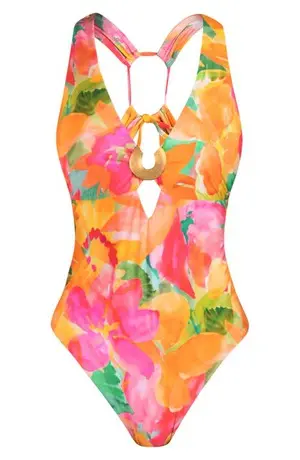 SUNSHINE 79 Utopia Plunge Floral One-piece Swimsuit