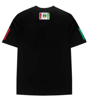 CROSS COLOURS Flag Logo T-shirt