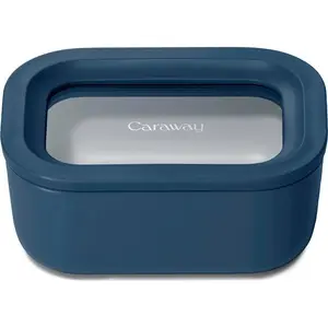 CARAWAY Mini Rectangle Glass Food Storage Container - Navy