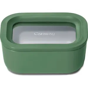CARAWAY Mini Rectangle Glass Food Storage Container - Sage