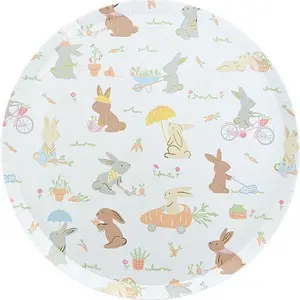 DAYDREAM SOCIETY Bunnies In The Garden Round Large Plates - Asssorted Pre-pack