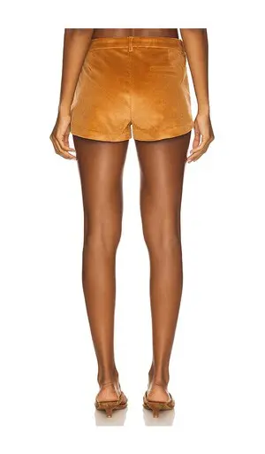 Lioness Saddle Short