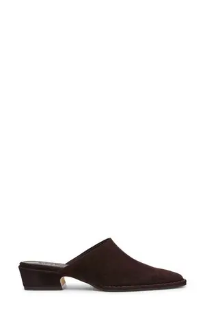 Steve Madden Dessa Mule - Brown Sued