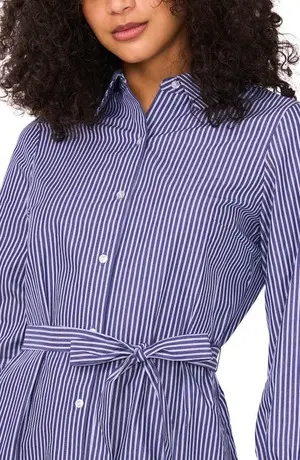 Halogen Stripe Belted Shirt Dress