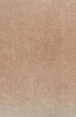 Nordstrom Velveteen Bolster Pillow