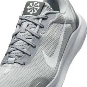 Nike Flex Experience Run Road Running Shoes - Grey