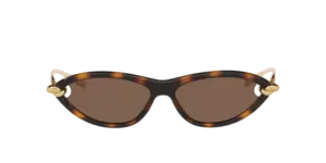 Bottega Veneta Sunglasses - Brown