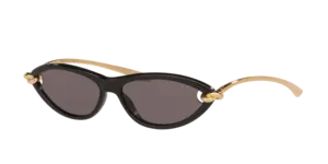 Bottega Veneta Sunglasses Grey