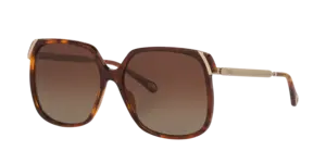Chloé Sunglasses - Brown Gradient