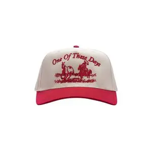 ONE OF THESE DAYS Just For A Moment Cap