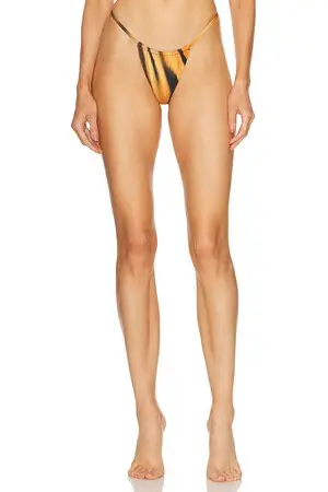 SKIMS X Cavalli String Bikini Bottom - Tiger Face Print