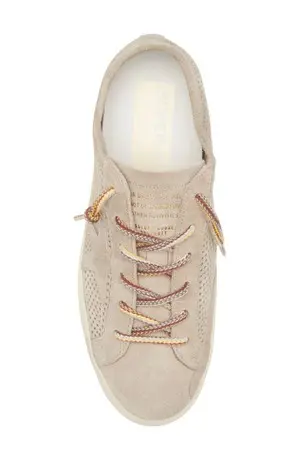 GOLDEN GOOSE Super-star Perforated Low Top Sneakers