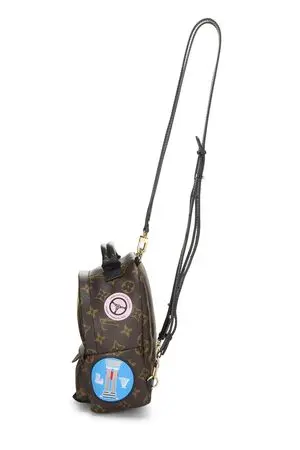LOUIS VUITTON World Tour Palm Springs Backpack - Brown