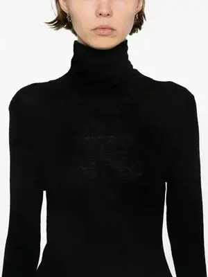 AEXAE Sheer Turtleneck Top
