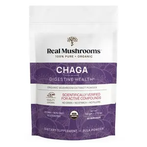 REAL MUSHROOMS Chaga Extract Powder 60 Grams - One-color