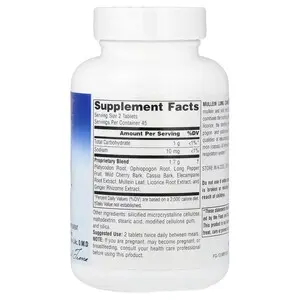 PLANETARY HERBALS Mullein Lung Complex 850 Mg 90 Tablets