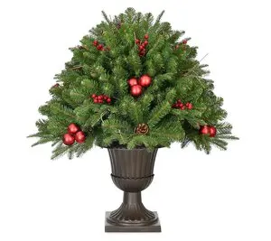 FRASER HILL FARM 2.5-ft. Joyful Porch Tree In Pedestal Urn - One-color