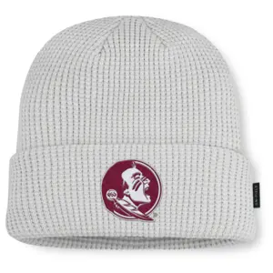 Nike Florida State Utility Off-field College Cuffed Beanie - Grey