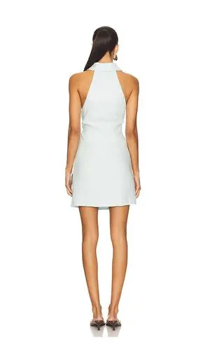 HEVRON Lauren Dress