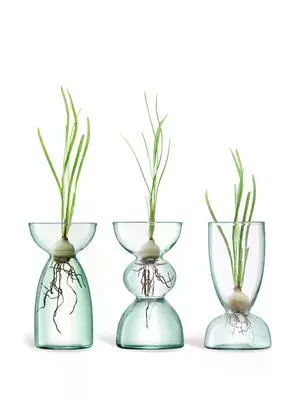 LSA INTERNATIONAL Canopy Trio' Vase Set Of Three