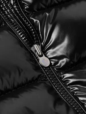 Moncler Logo-appliquéd Quilted Shell Hooded Down Jacket - Black