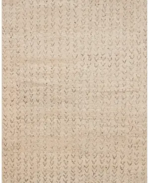 AMBER LEWIS X LOLOI Amber Lewis Libby Lib-02 Area Rug, 7'9 X 9'9