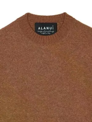 Alanui Crew-neck Sweater - Brown