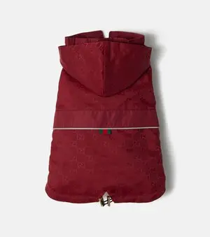 Gucci Oversized Bags For Women