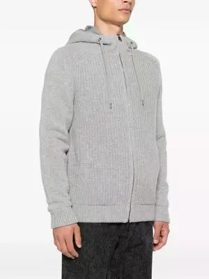Herno Zip-up Wool Hoodie