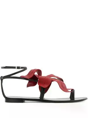 GIUSEPPE ZANOTTI Floral Appliqué Sandals - Black