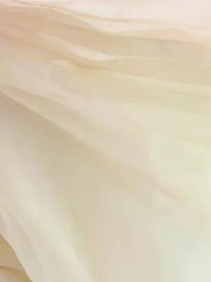 Alberta Ferretti Draped Gradient-effect Dress