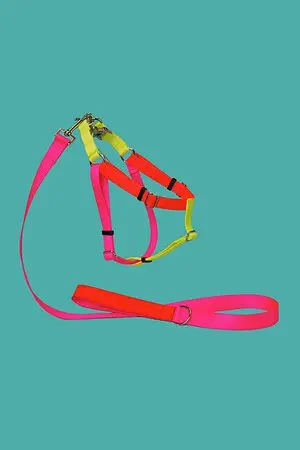 WARE OF THE DOG Nylon Colorblock Dog Harness - Pink/orange/yellow
