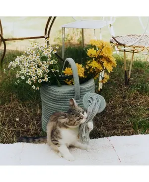 LORENA CANALS Basket Water Can