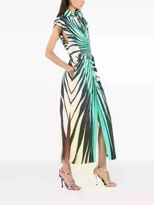 Roberto Cavalli Printed Midi Dress