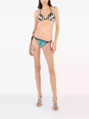 Roberto Cavalli Ray Of Sea Print Bikini Bottom