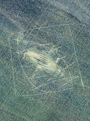 John Elliott Frayed Distressed Jeans