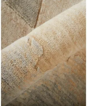 FEIZY Jaxson 39pxf Area Rug, 5' X 7'6