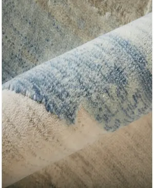 FEIZY Jaxson 39pxf Area Rug, 8' X 10 - Blue/multi