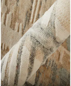 FEIZY Jaxson 39pzf Area Rug, 2' X 3