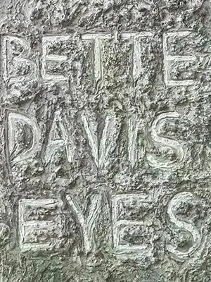 VJ’S MIND Monument Bette Davis Eyes Wall Decoration