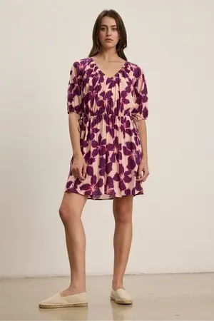 Velvet By Graham & Spencer Hazel Dress - Pink