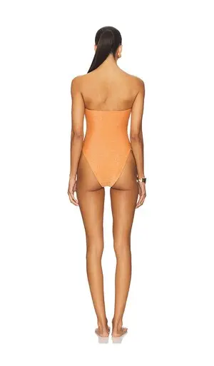 Devon Windsor Penelope Full Piece Swimsuit