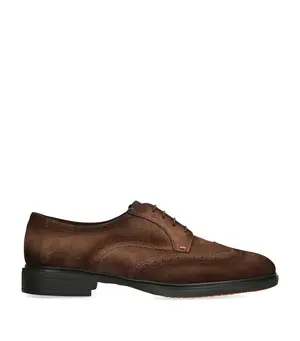 Santoni Brogues