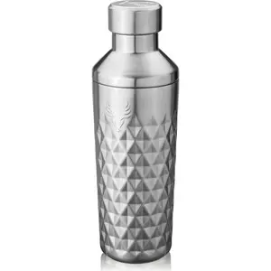VISKI Paragon Stainless Steel Cocktail Shaker - Platinum
