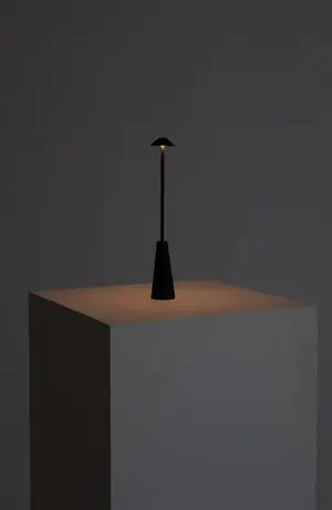 BRIGHTECH Enoki 12" Portable Usb-rechargeable Led Bistro Table Lamp With Slim Matte Black Stem And 3-way Touch Dimming