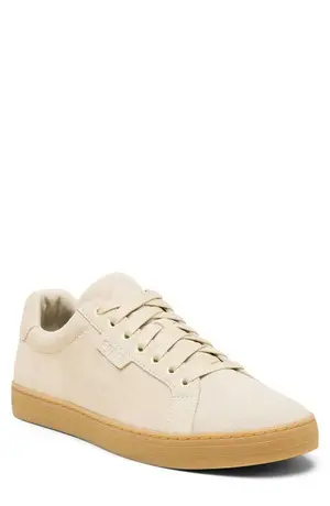 Sorel Logo Sneakers For Men