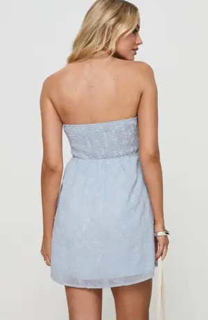 Princess Polly Embroidered Strapless Mini Dress
