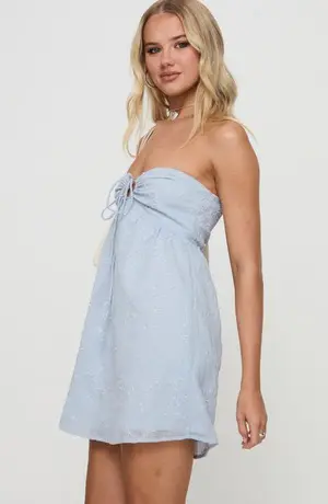 Princess Polly Embroidered Strapless Mini Dress